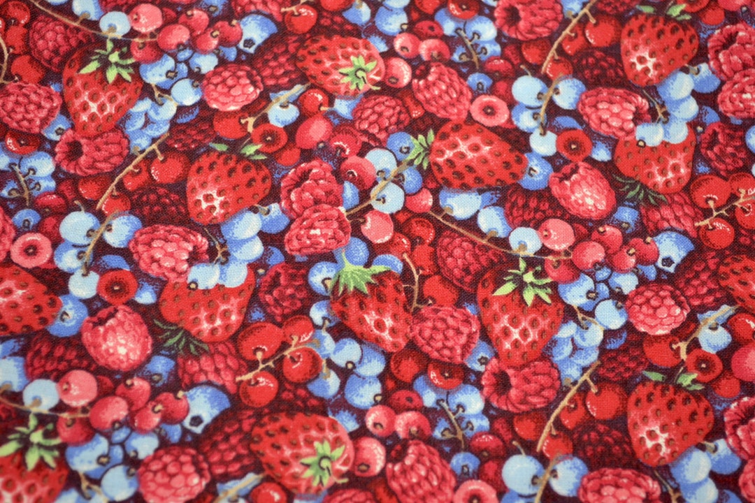 Daisy Kingdom Fabric - Red and Blue Berries Allover - Springs Cotton 44 ...