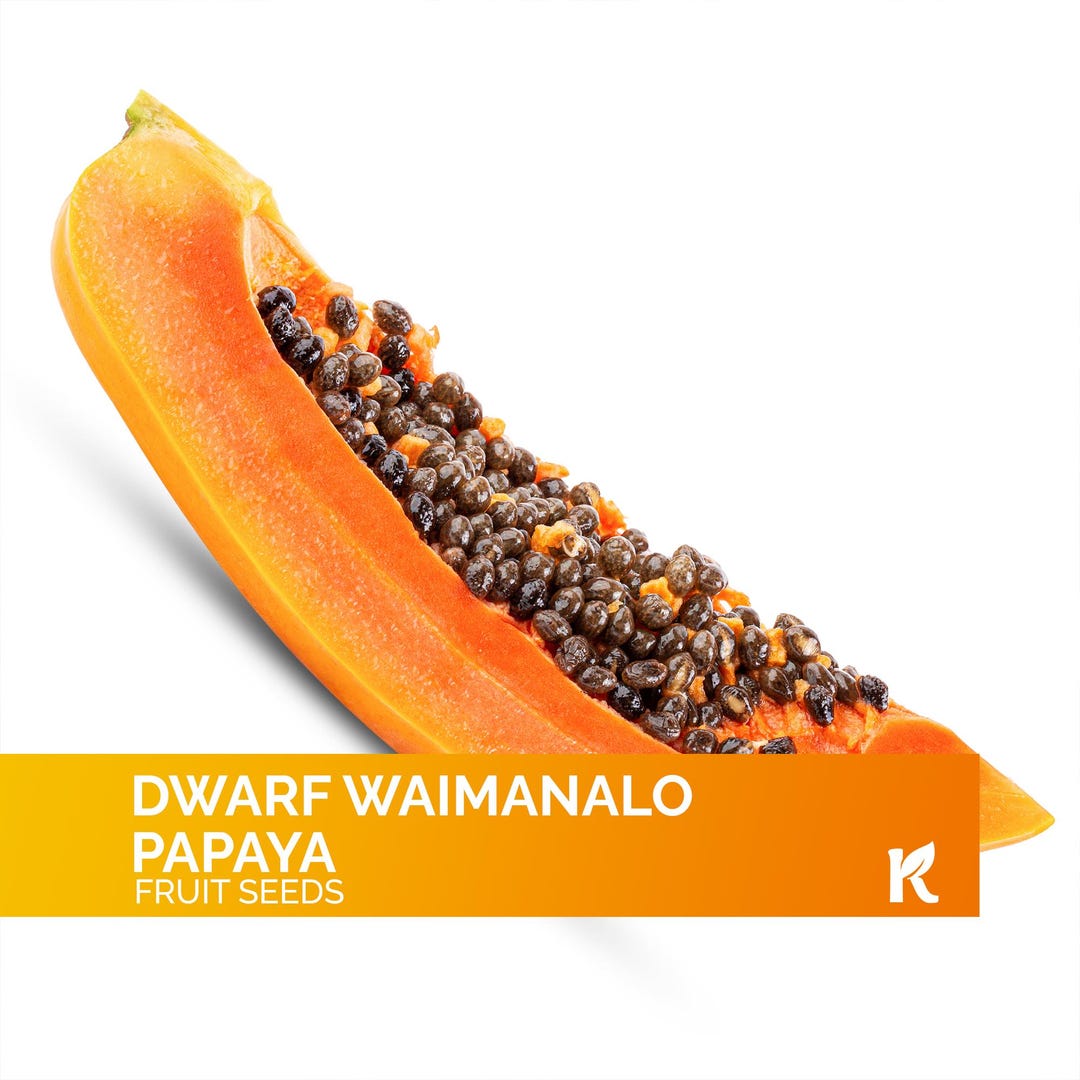 20 PCS - Waimanalo Dwarf Papaya Seeds (carica Papaya) – Heirloom Fast ...