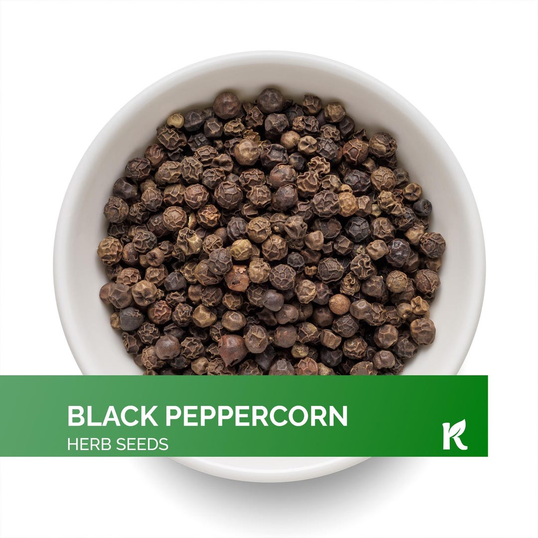 10 PCS - Pepper Corn Black Pepper Seeds (piper Nigrum) – Organic Black ...