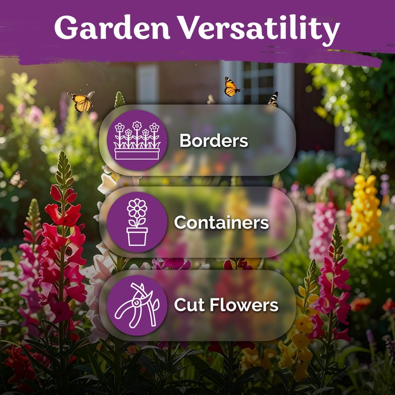 1,500 Tetra Mix Snapdragon Seeds (antirrhinum Majus) Tall Snapdragons ...