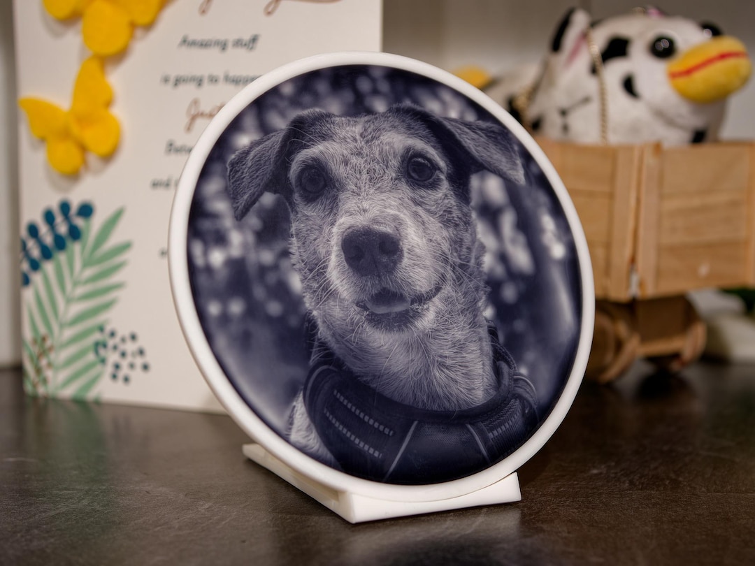 Custom 3D Printed Resin Photos | Hand Colored | High Detail | Hanging ...