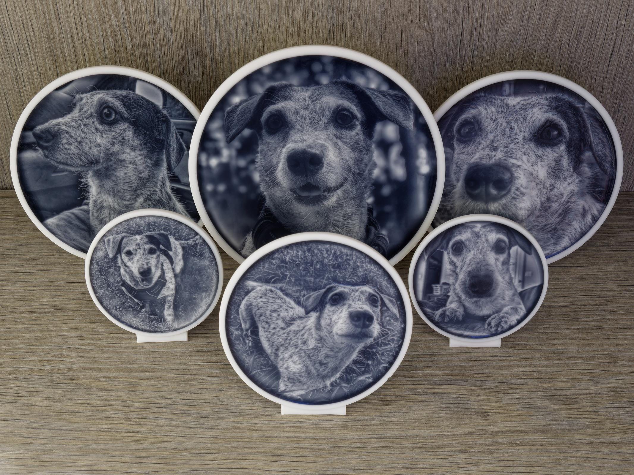 Custom 3D Printed Resin Photos Hand Colored High Detail Hanging or ...