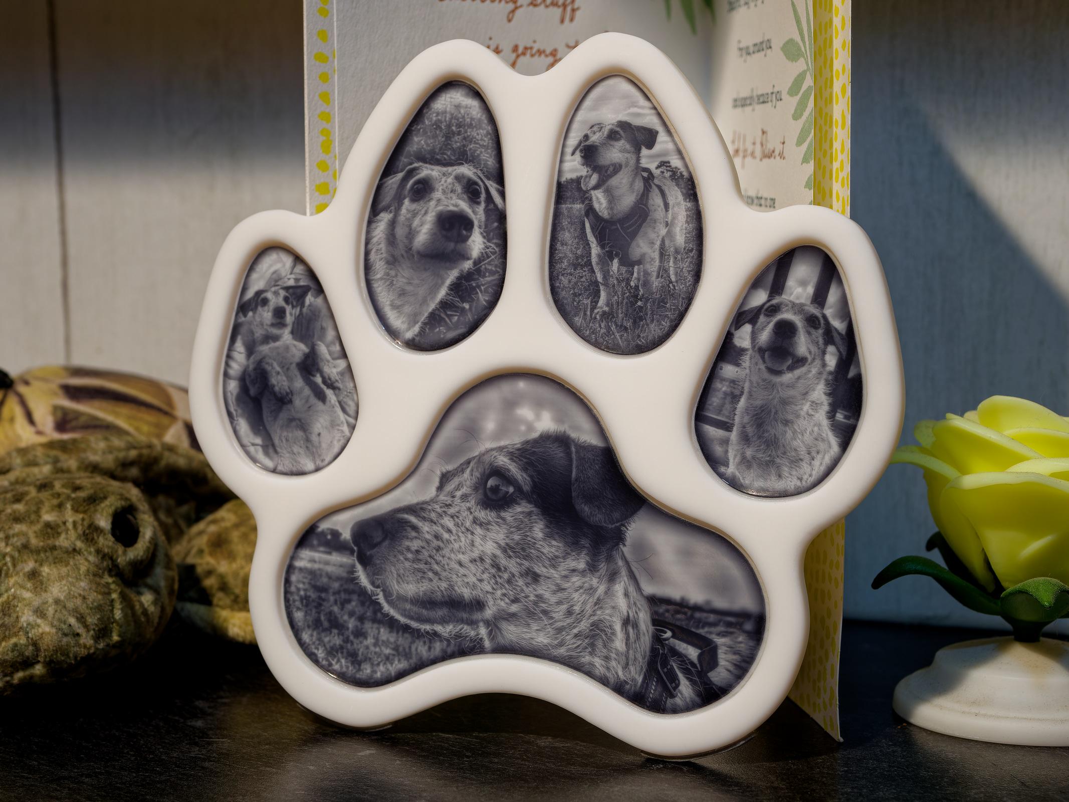 Custom 3D Printed Resin Photos | Hand Colored | High Detail | Hanging ...