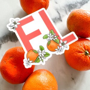 FL - State Flower Sticker - Florida - Orange Blossom - Florida Sticker ...