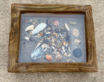 Seashell Shadowbox, Cat With Butterflies, Seashell and Beach Shadow Box ...