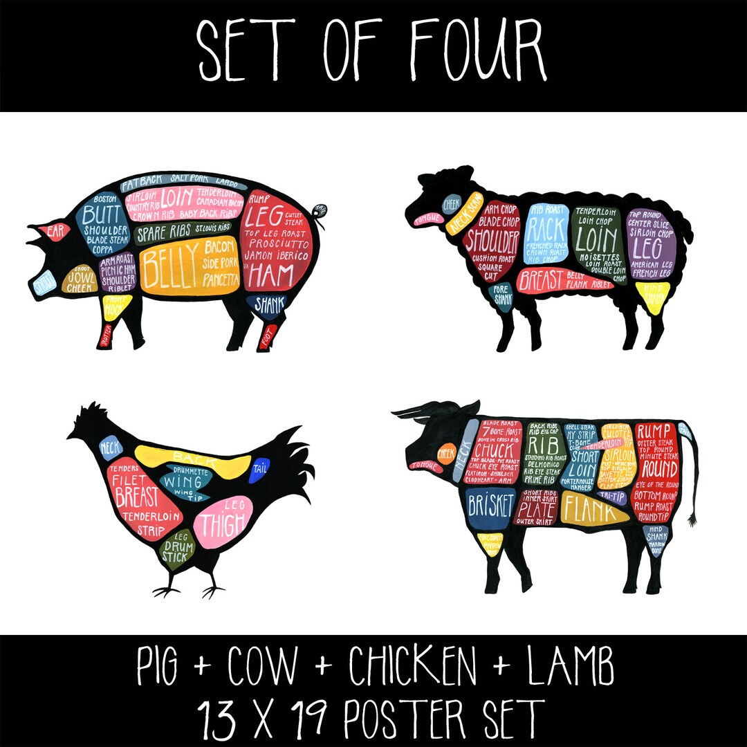 Set of Four Meat Butchery Diagrams - Pig, Cow, Lamb, Chicken - Etsy