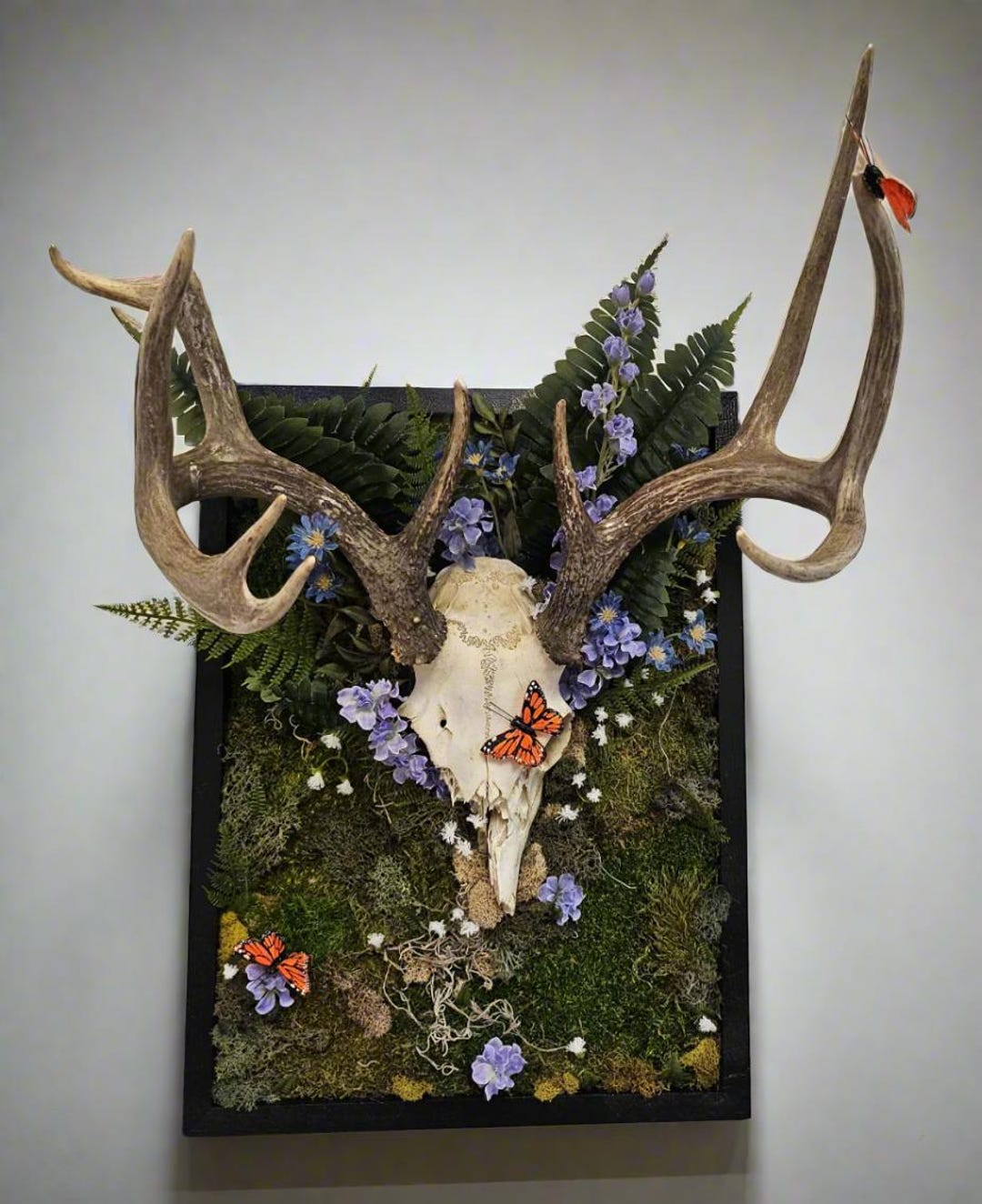 Reclamation: Framed Deer Skull 15"x19" Mixed-media Moss Art - Etsy