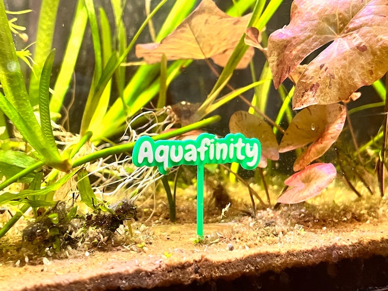 3D Printed Fish Name Tag Sign | Custom Aquarium Name Plate ...