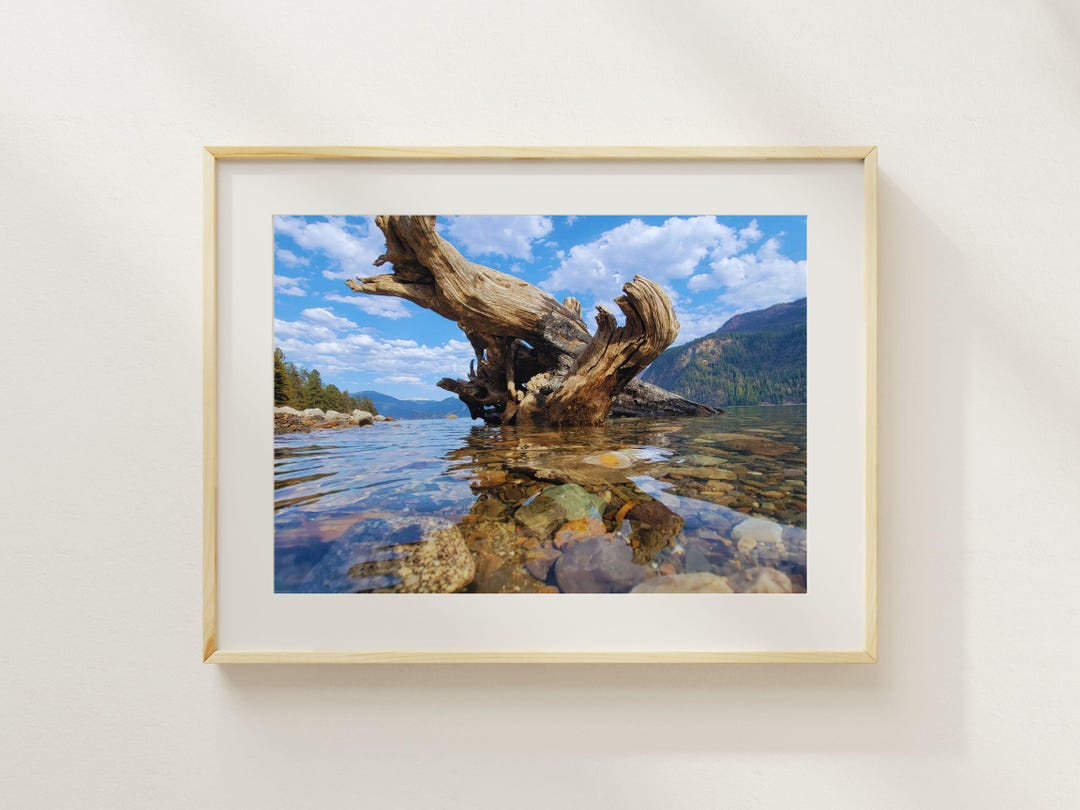 Lake Tree Stump Photography Digital Download, Nature Wall Art, Lake ...