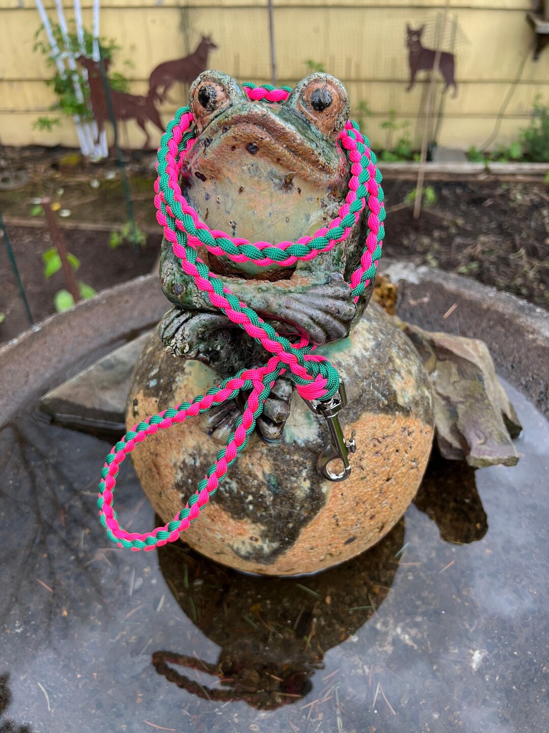 Braided Paracord Dog Leash: Lightweight, Custom Colors and Length - Etsy