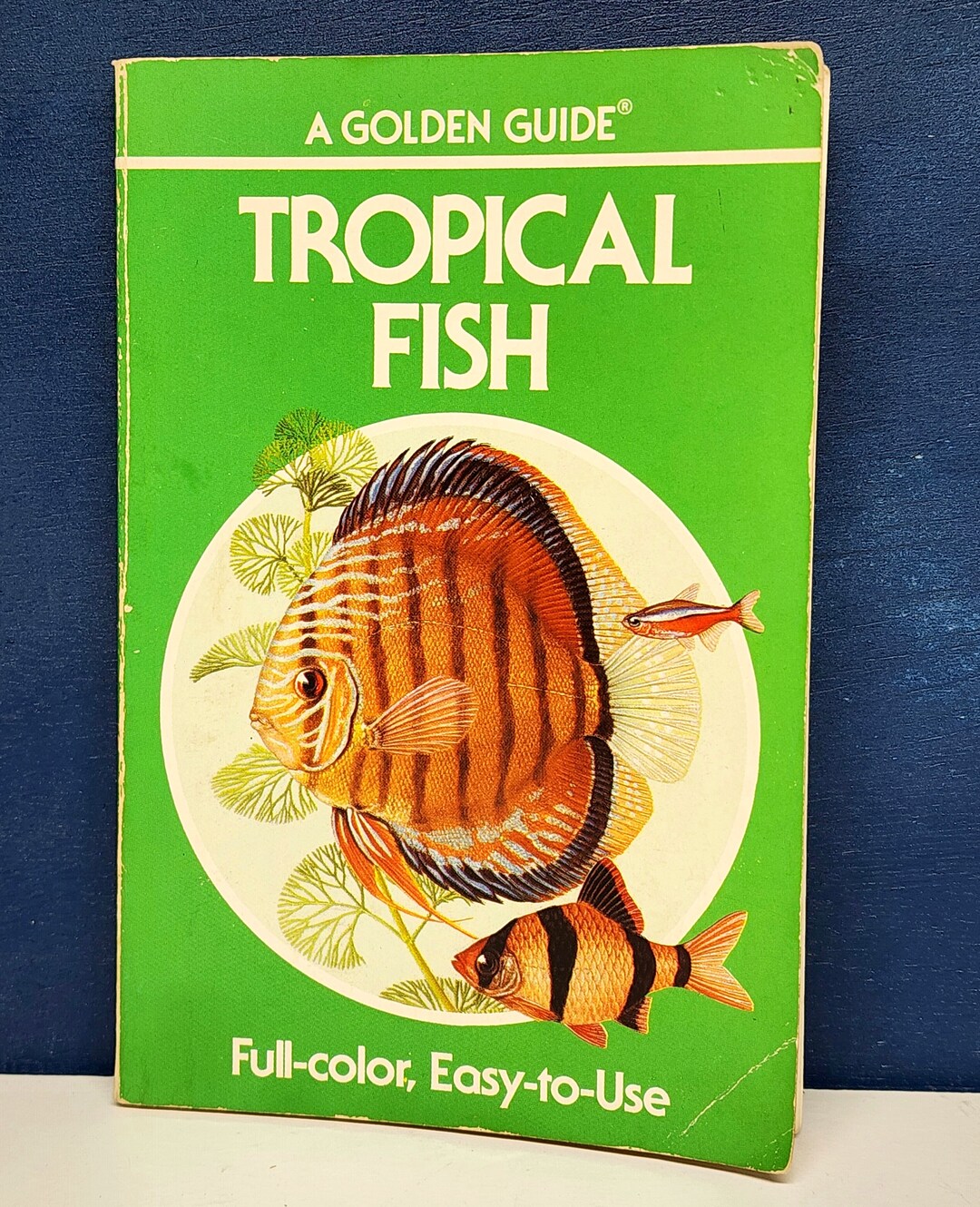 Golden Guide Tropical Fish - Etsy
