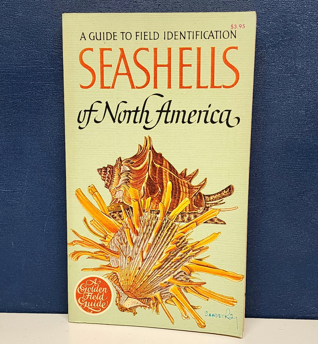 Golden Field Guide Seashells of North America - Etsy