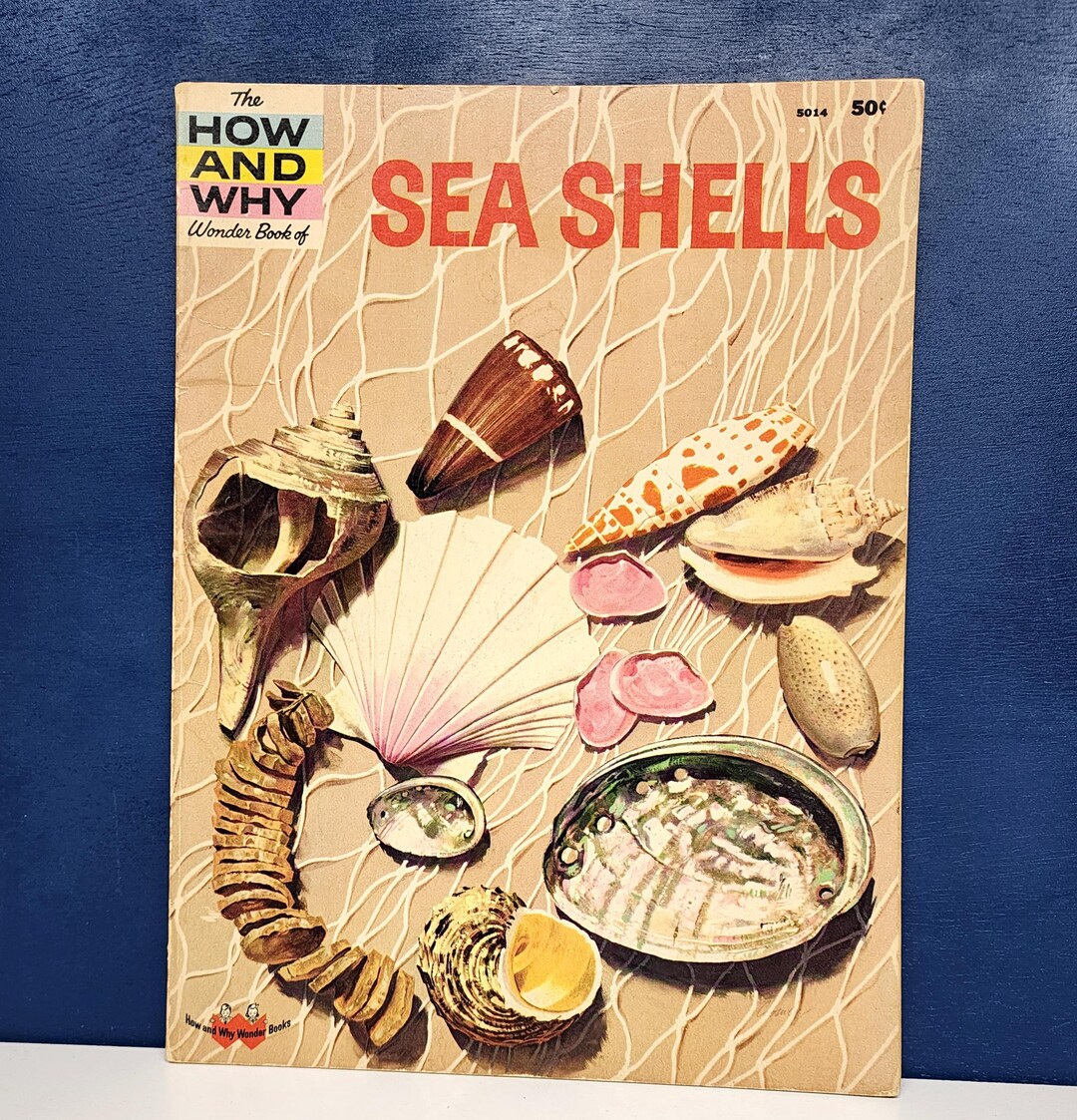 The How and Why Wonder Book of Seashells Softcover - Etsy
