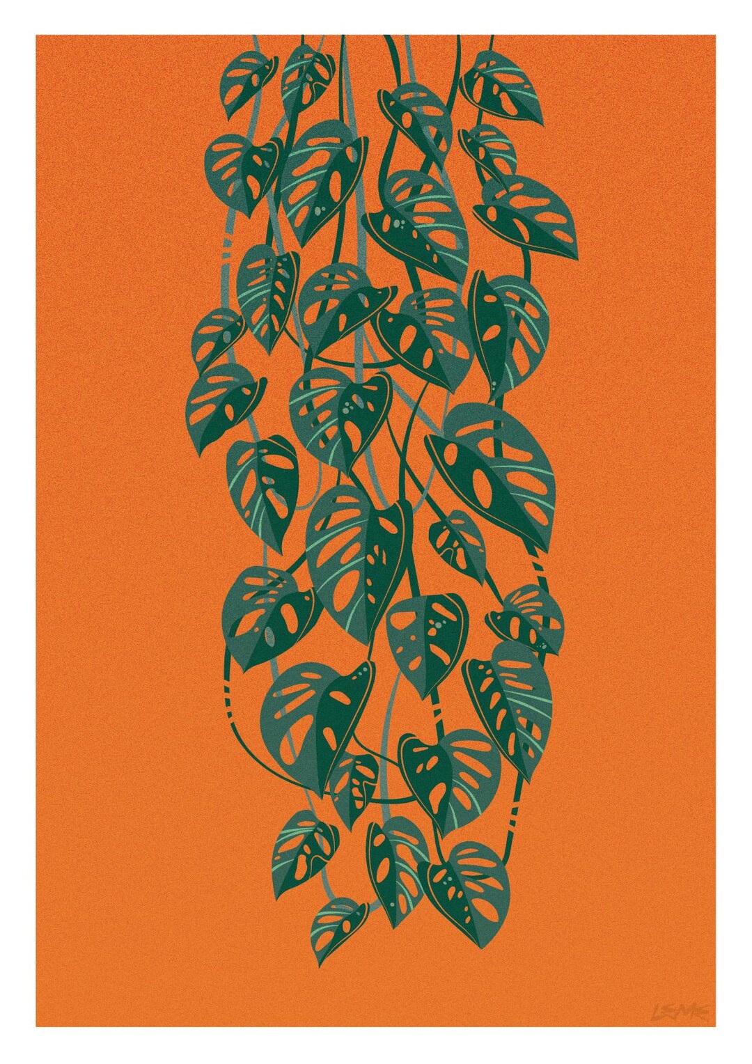 Monstera Bundle of 5 Vector-art, Illustrated Wall Prints. Stylised ...