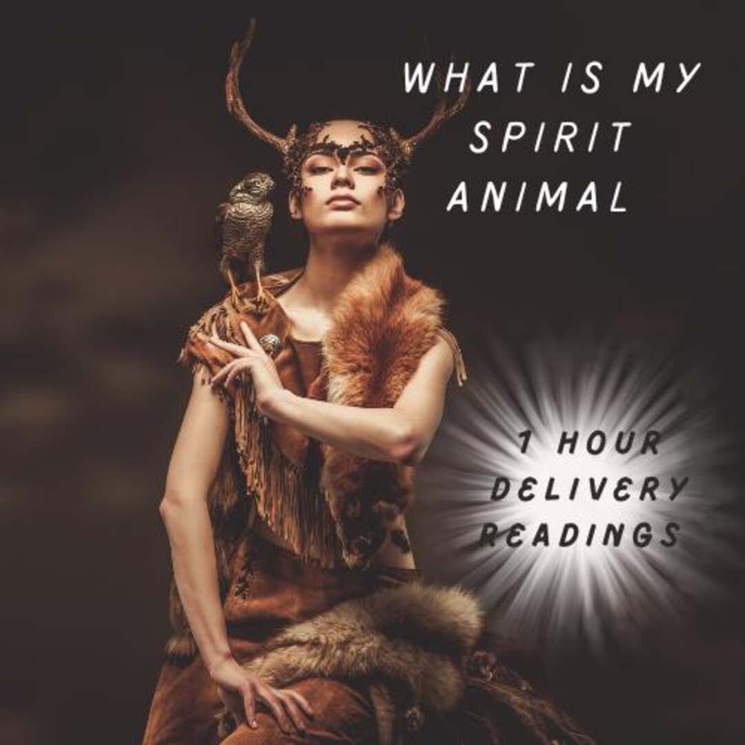 SPIRIT ANIMAL READING- Who is My Animal Guide- 1 Hour Delivery - Etsy