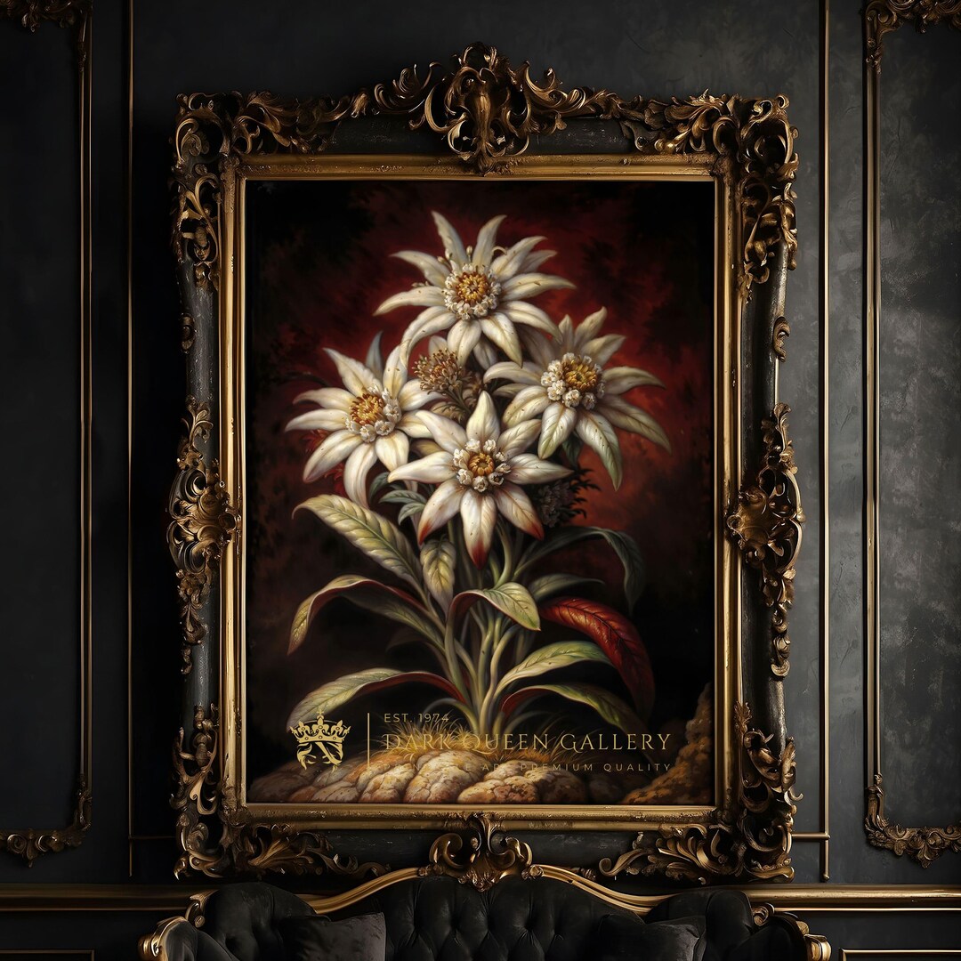 White Edelweiss Florall Digital Print - Large Gothic Botanica Wall Art ...