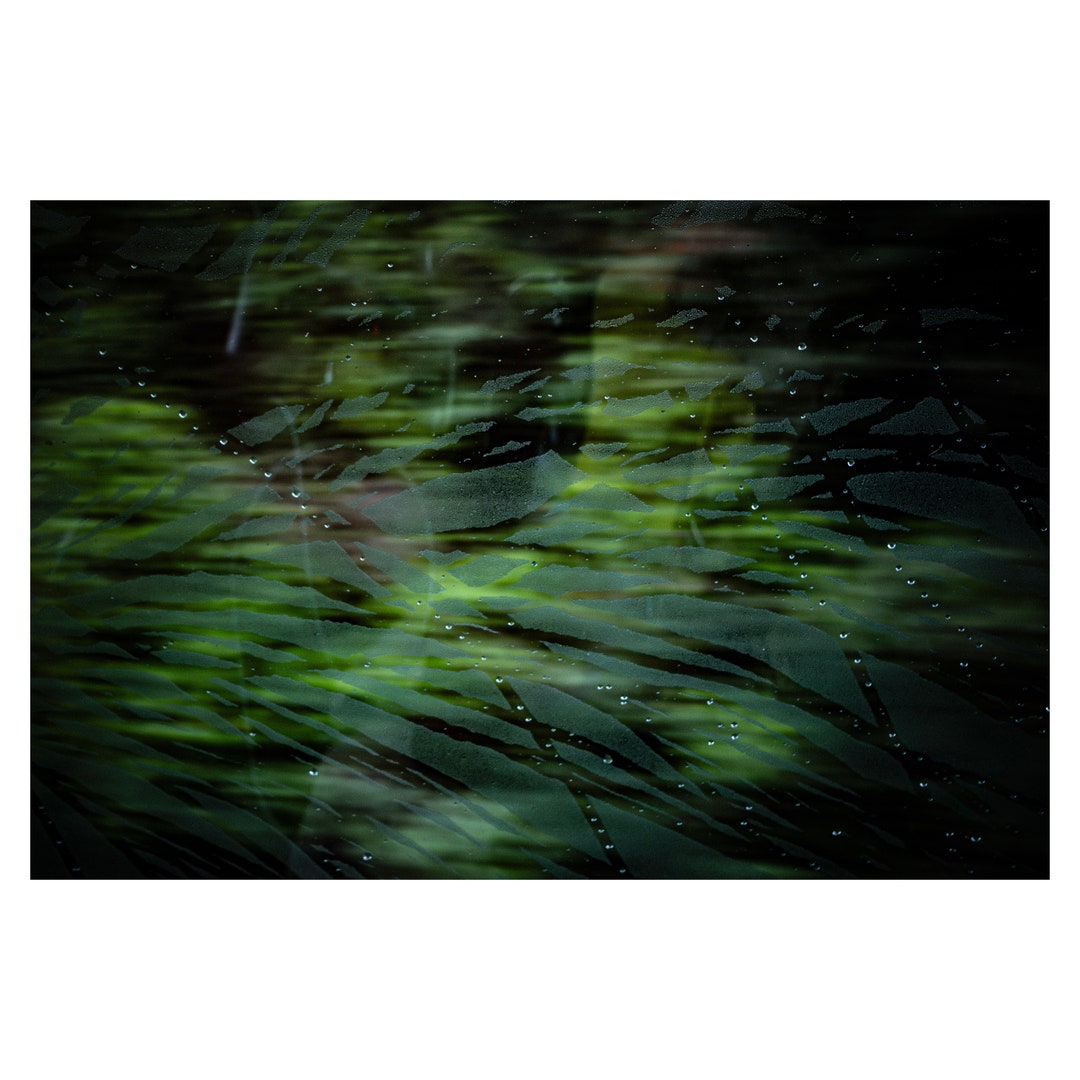 Whispers of Motion: Beauty Captured Through the Car Window - Etsy