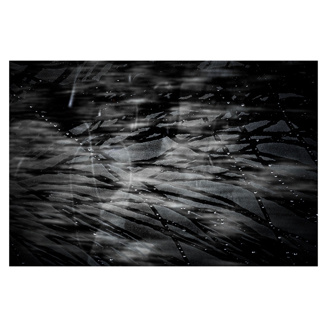 Whispers of Motion: Capturing Beauty Through the Car Window (black and ...