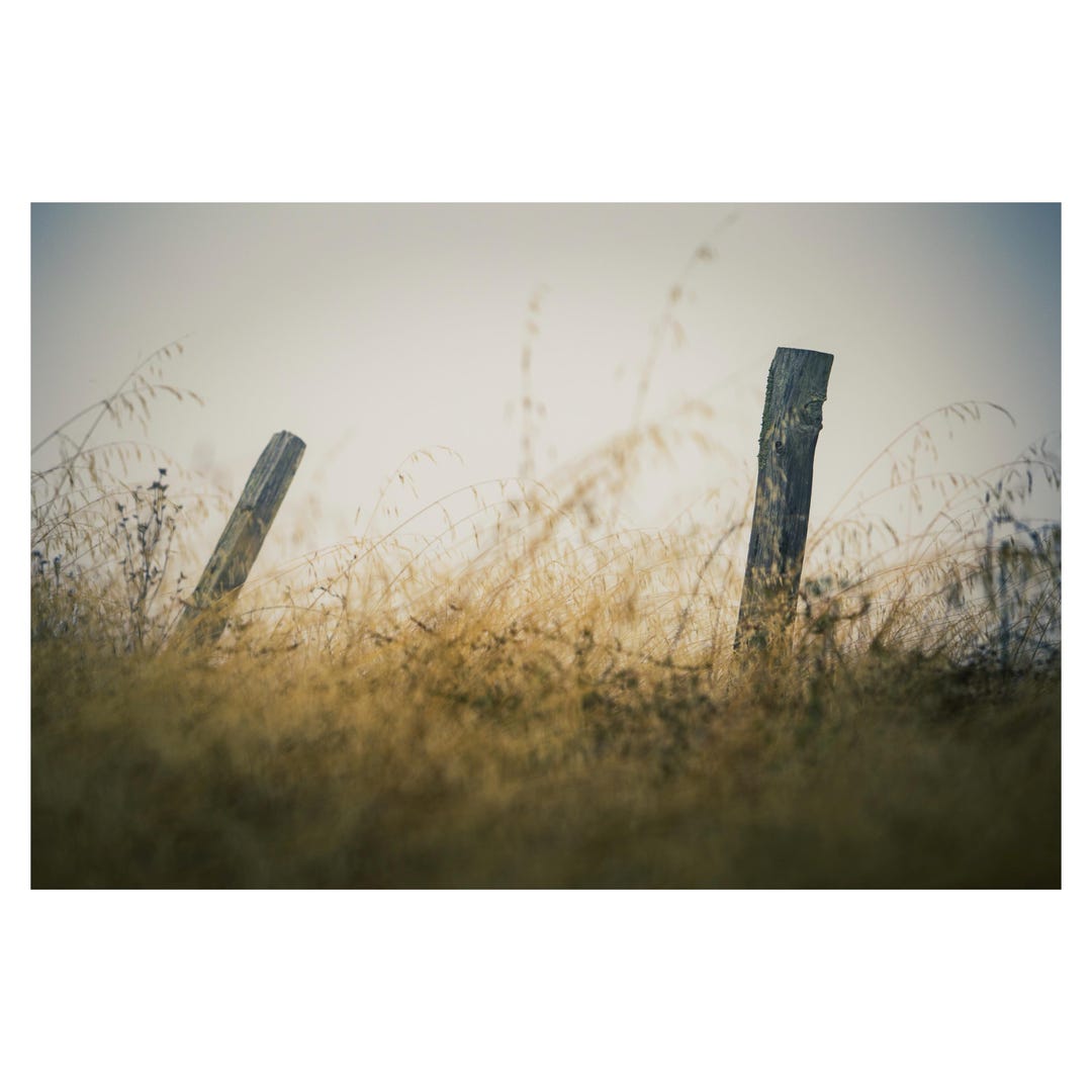 Whispers of the Prairie: Rustic Fence Posts in Golden Field - Etsy