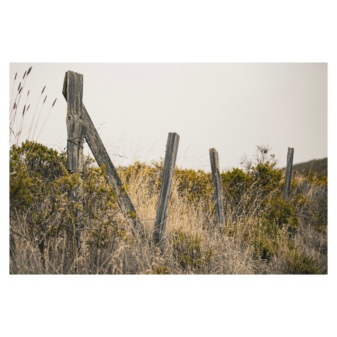 Weathered Fencing Reclaimed by Nature | Rustic Landscape Photography ...