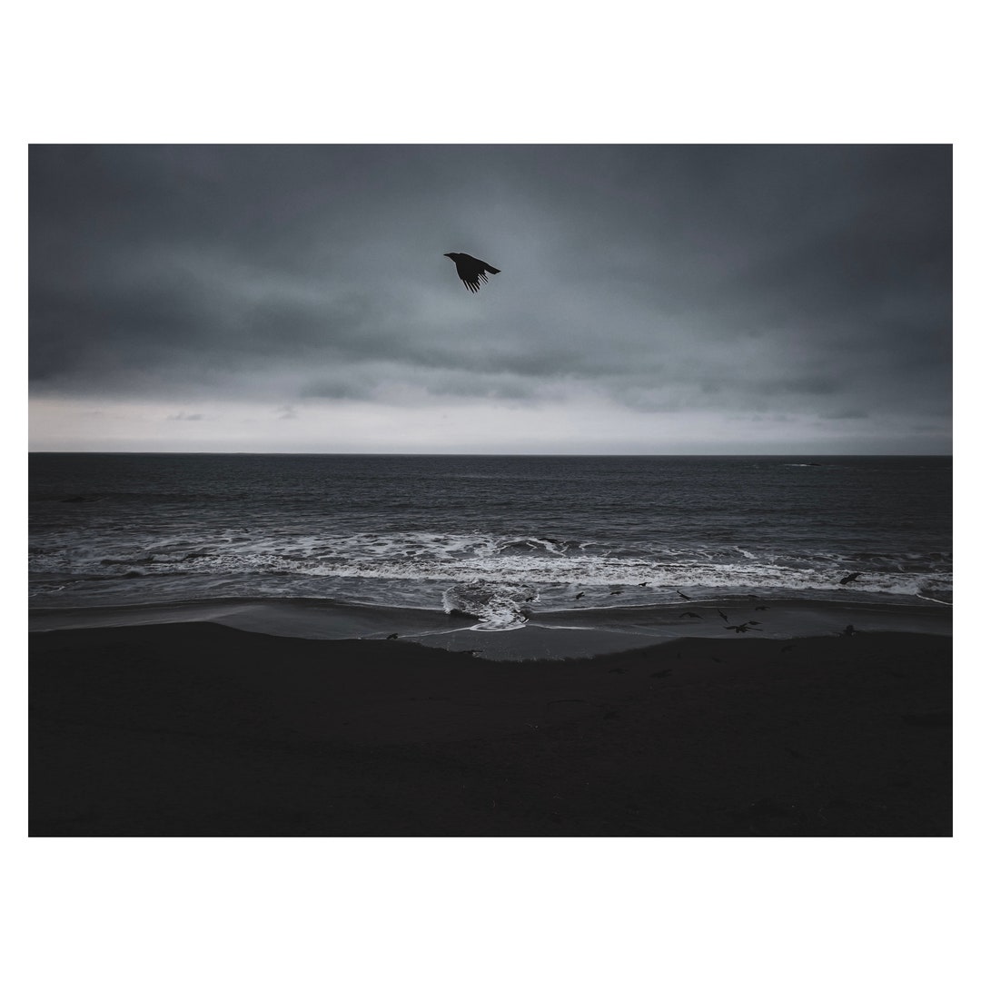 Raven in Flight: California Coastline - Etsy