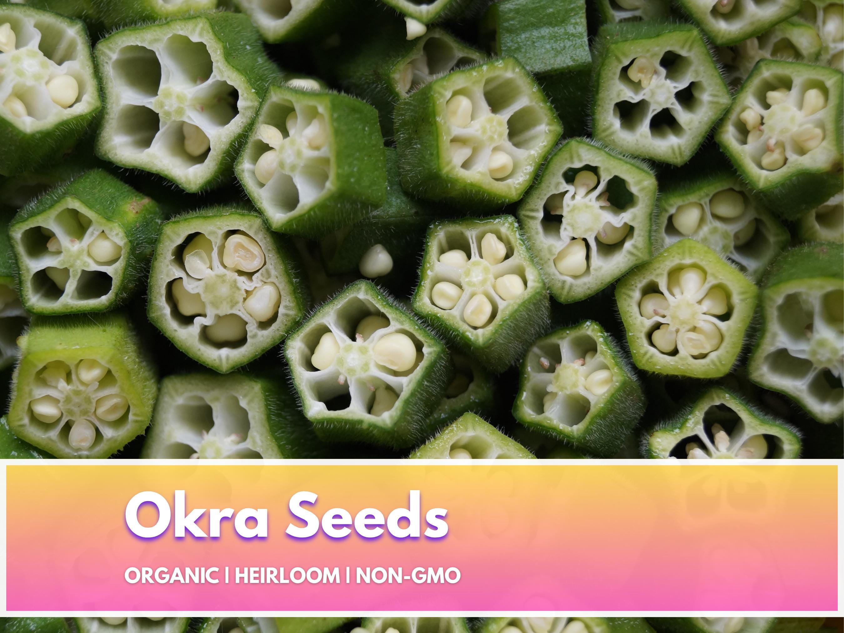 Okra - Organic Heirloom Non-gmo Premium Seeds - Etsy