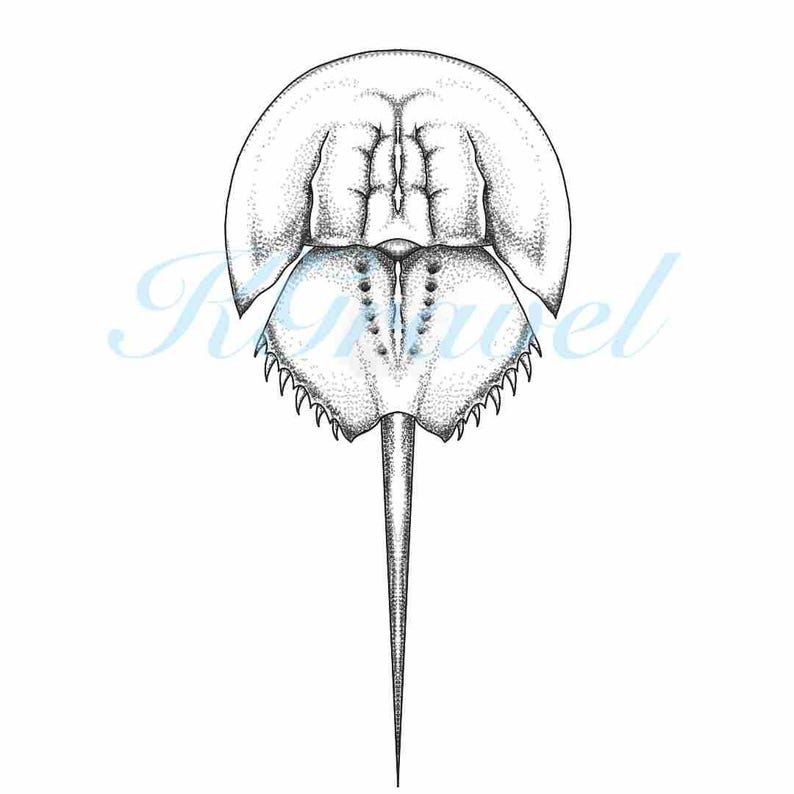 Ocean and Beach Flash Tattoo Designs - Etsy