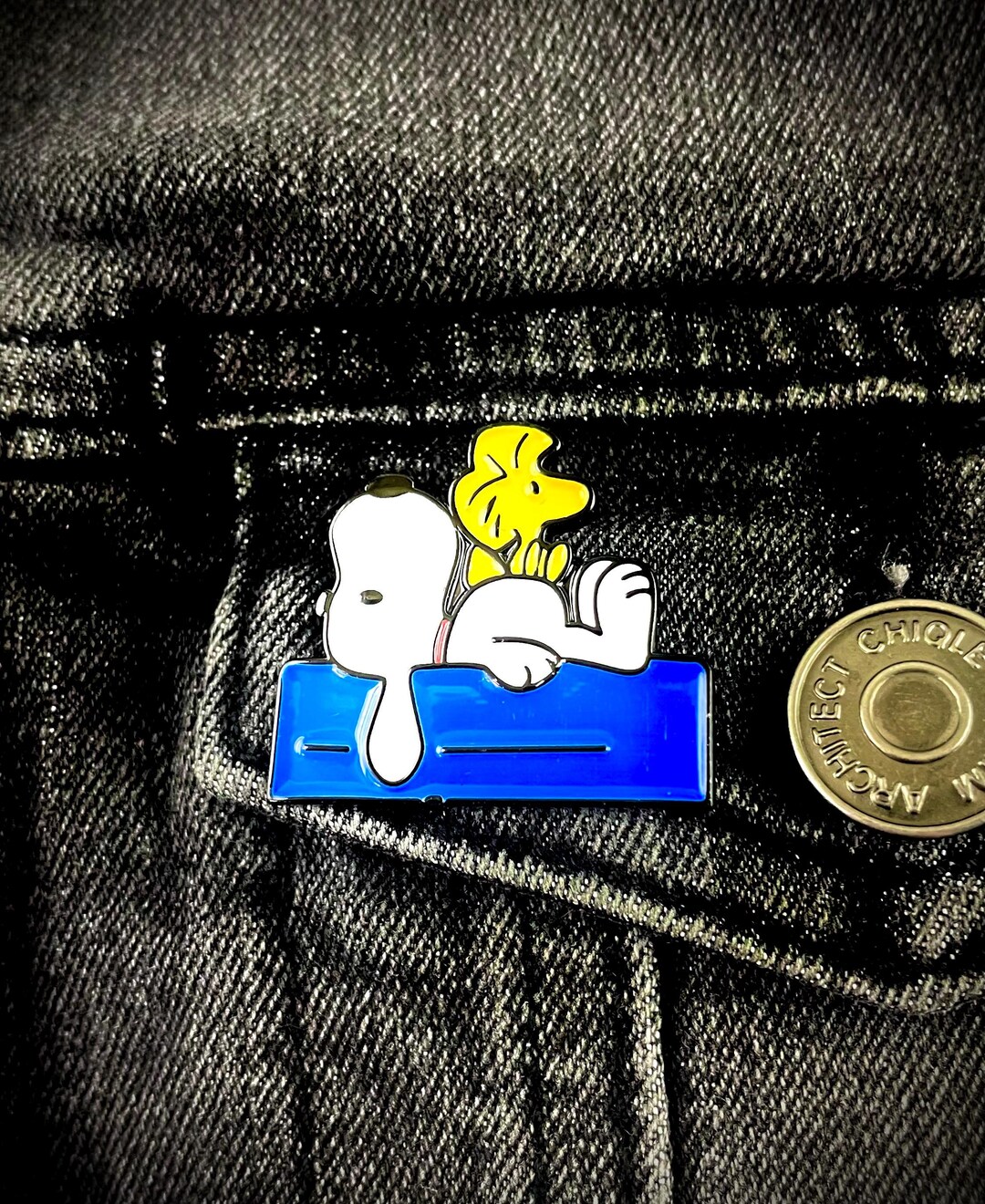 Snoopy & Woodstock Enamel Pin - Etsy