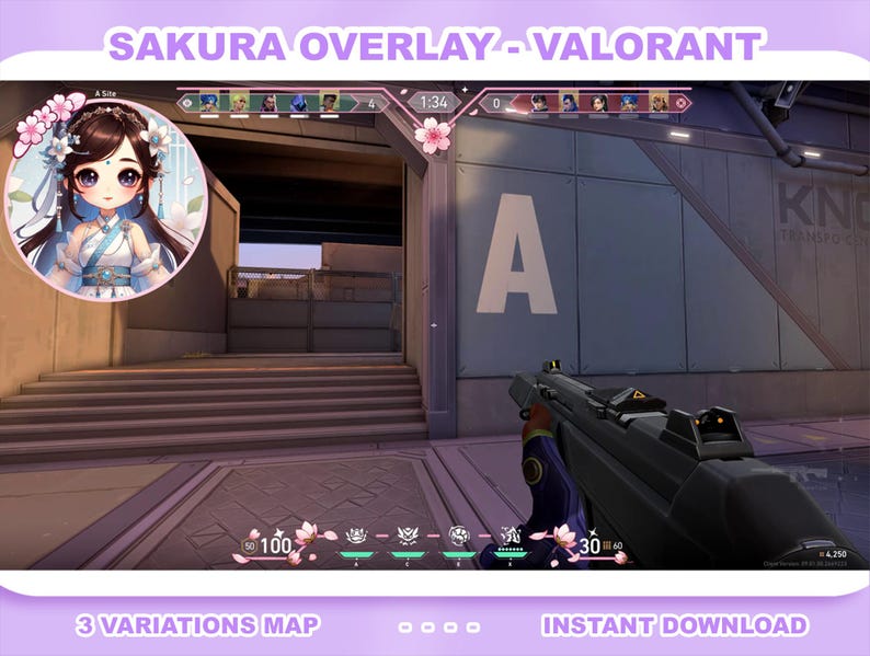 SAKURA OVERLAY HUD Valorant - Etsy