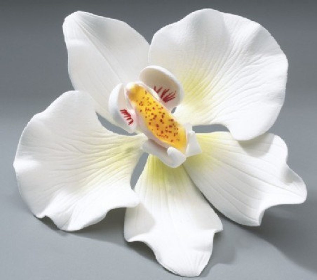 Orchid Gum Paste Flowers for Weddings and Cake Decorating - Etsy