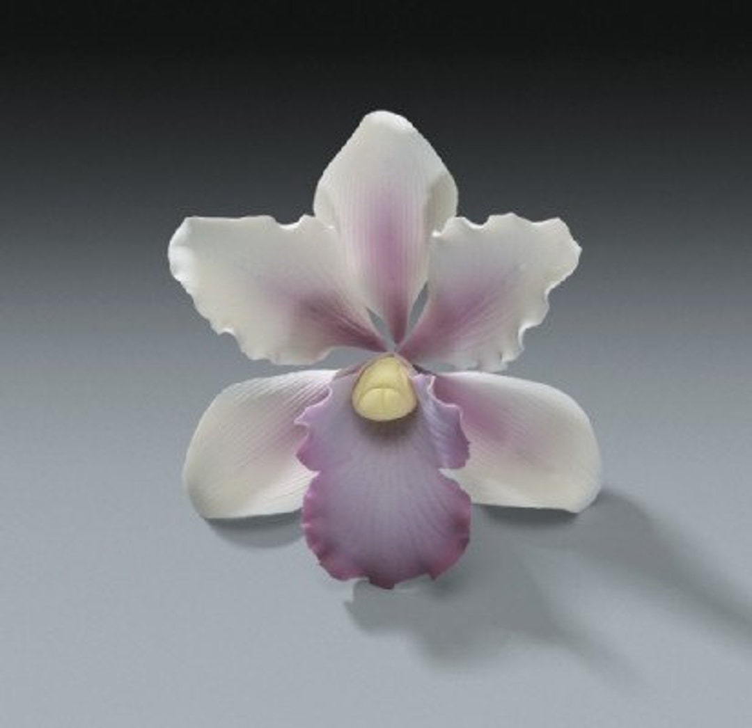 Tropical Orchid Gum Paste Flowers for Weddings and Cake Decorating - Etsy