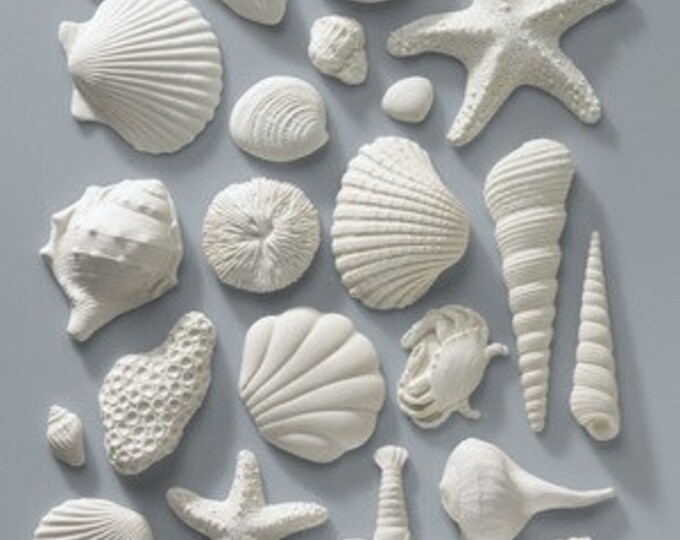 21 Gum Paste Sea Shells for Weddings and Cake Decorating Ships Insured ...
