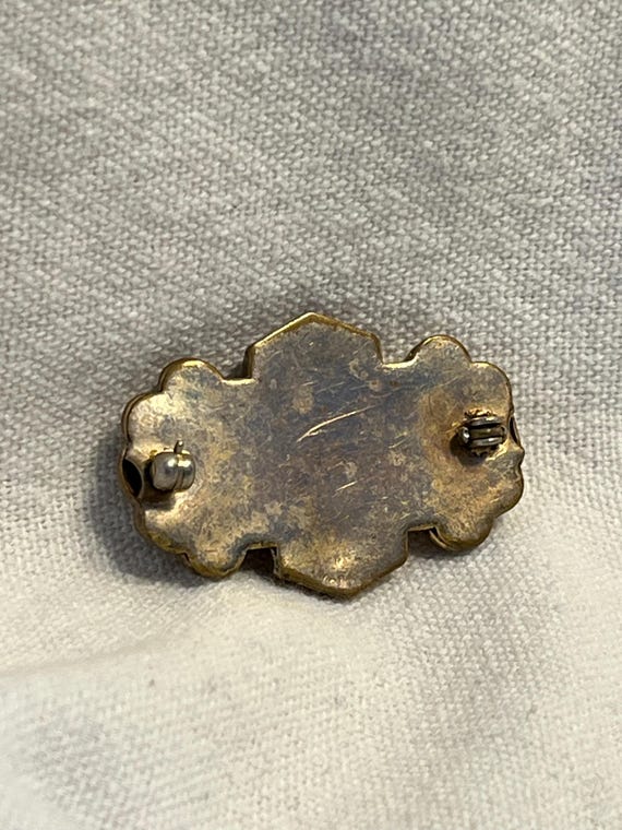 Antique Victorian Gold Toned Pin - Gem