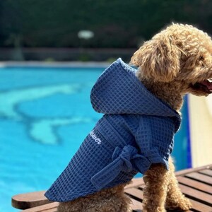 Dog Bathrobe With Hood – “had Shower” Embroidered Towel Robe for Small ...