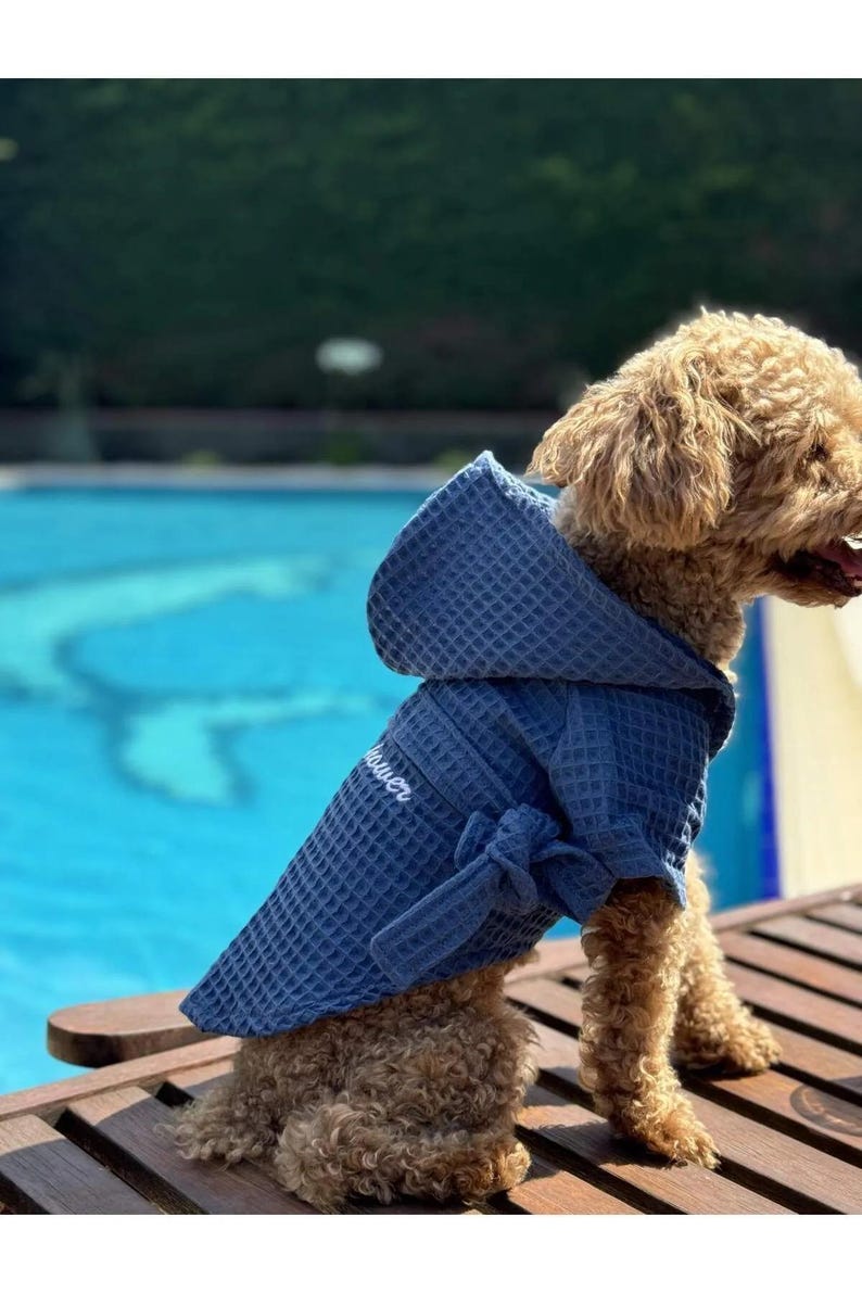 Dog Bathrobe With Hood – “had Shower” Embroidered Towel Robe for Small ...