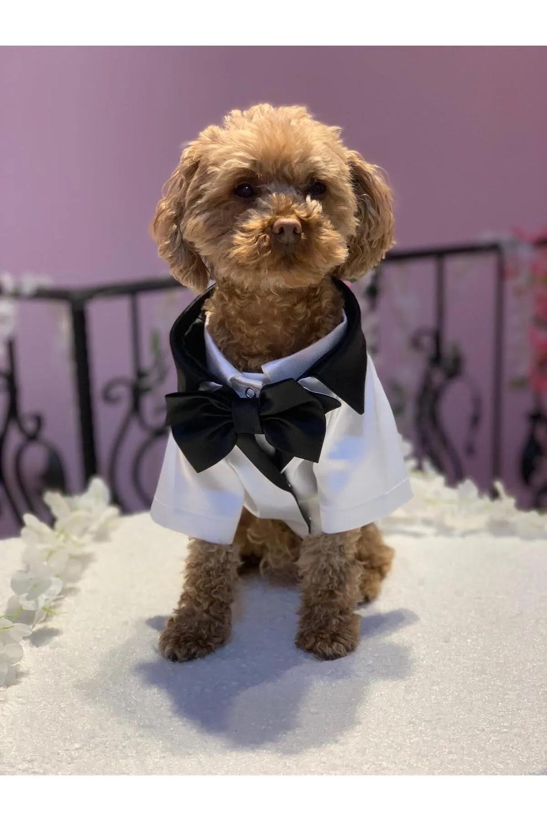 Black Dog Tuxedo Suit – Formal Pet Wedding Outfit – Puppy Bow Tie ...