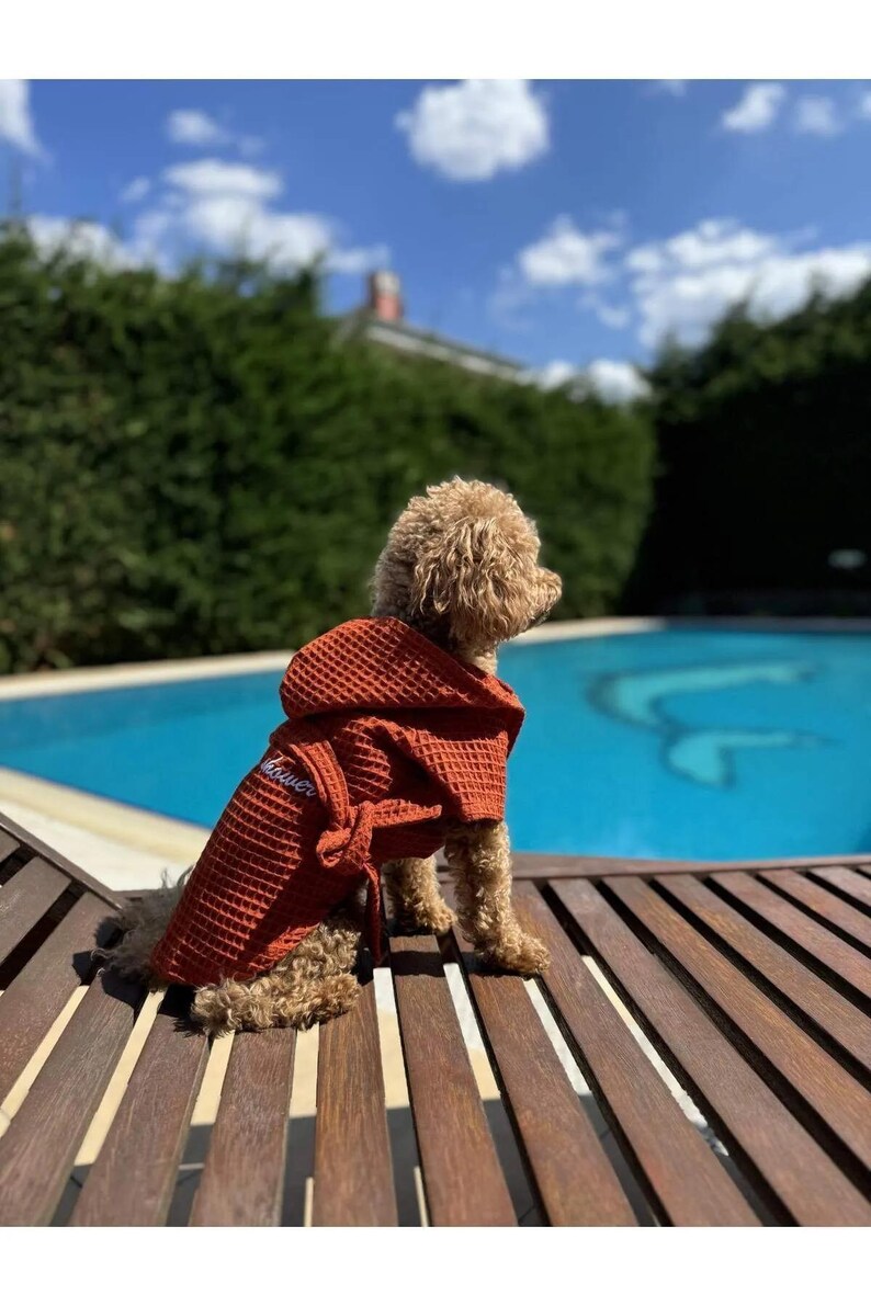 Dog Bathrobe With Hood – “had Shower” Embroidered Towel Robe for Small ...