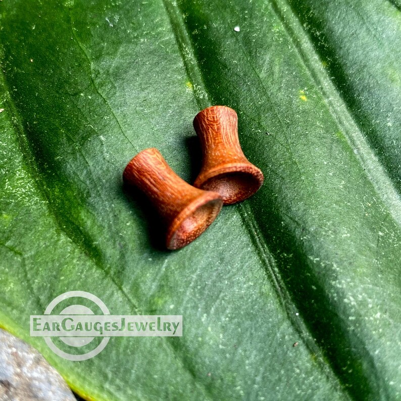 Pair Ear Tunnels, Wood Ear Gauges, Ear Stretch, Plugs and Tunnels - Etsy