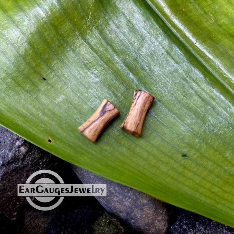 Pair Ear Plugs, Wood Ear Gauges, Ear Stretch, Plugs and Tunnels - Etsy