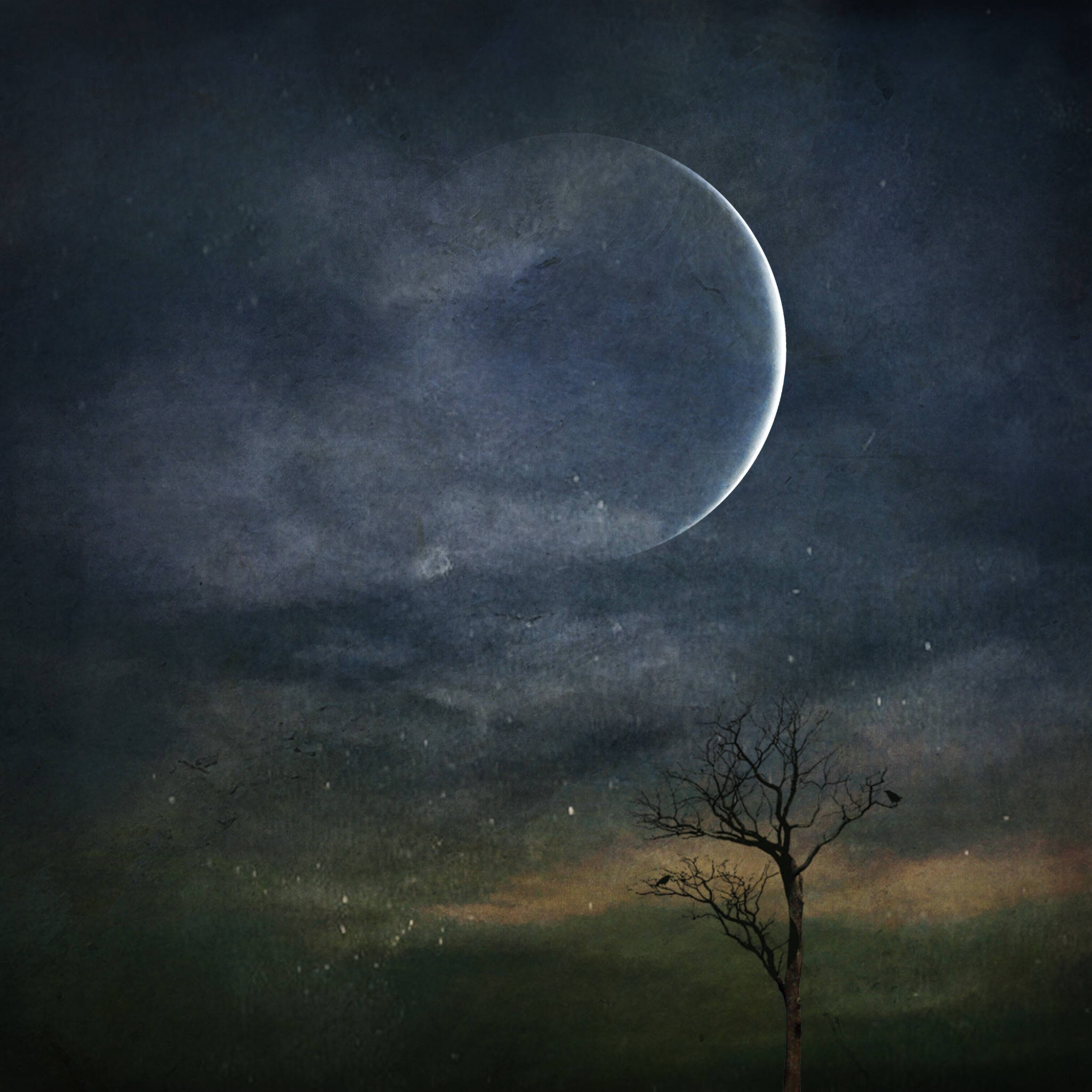 New Moon Photography