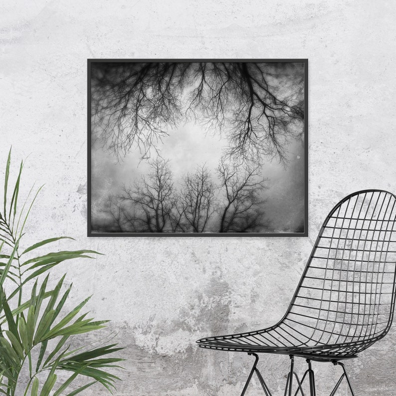Intertwined PRINT Bare Tree Branch Photo Black and White - Etsy