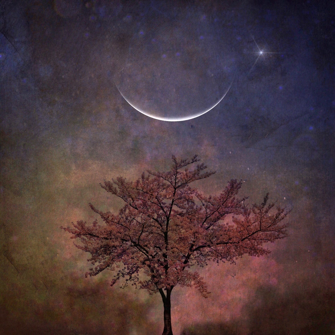Aries New Moon Photo PRINT Fire Surreal Landscape Spring Home Decor ...
