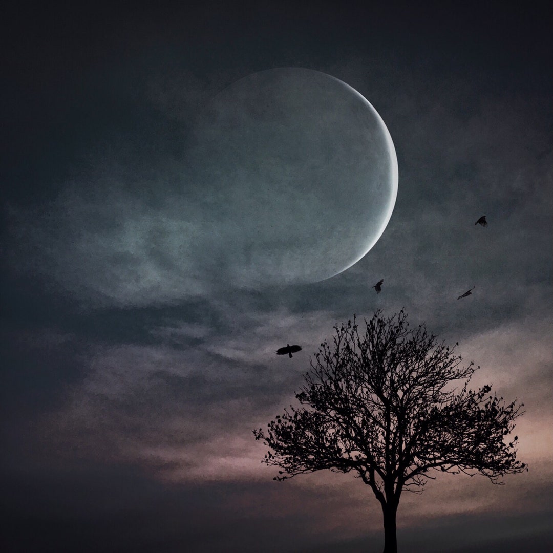 Super New Moon PRINT - Raven Photo Surreal Landscape Tree Night Sky ...