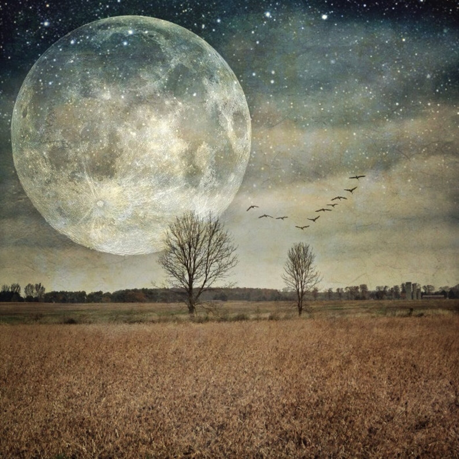 IMMINENT - Full Super Moon Art Photo PRINT, Surreal Landscape Trees ...
