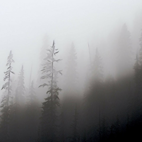 Gothic Photography - Etsy