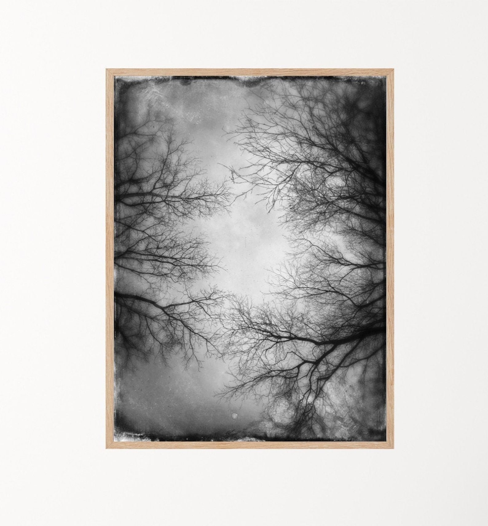 Intertwined PRINT Bare Tree Branch Photo Black and White - Etsy
