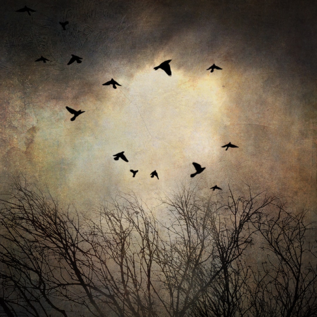 Circle of Life PRINT - Birds Tree Fine Art Surreal Photo, Bedroom Home ...