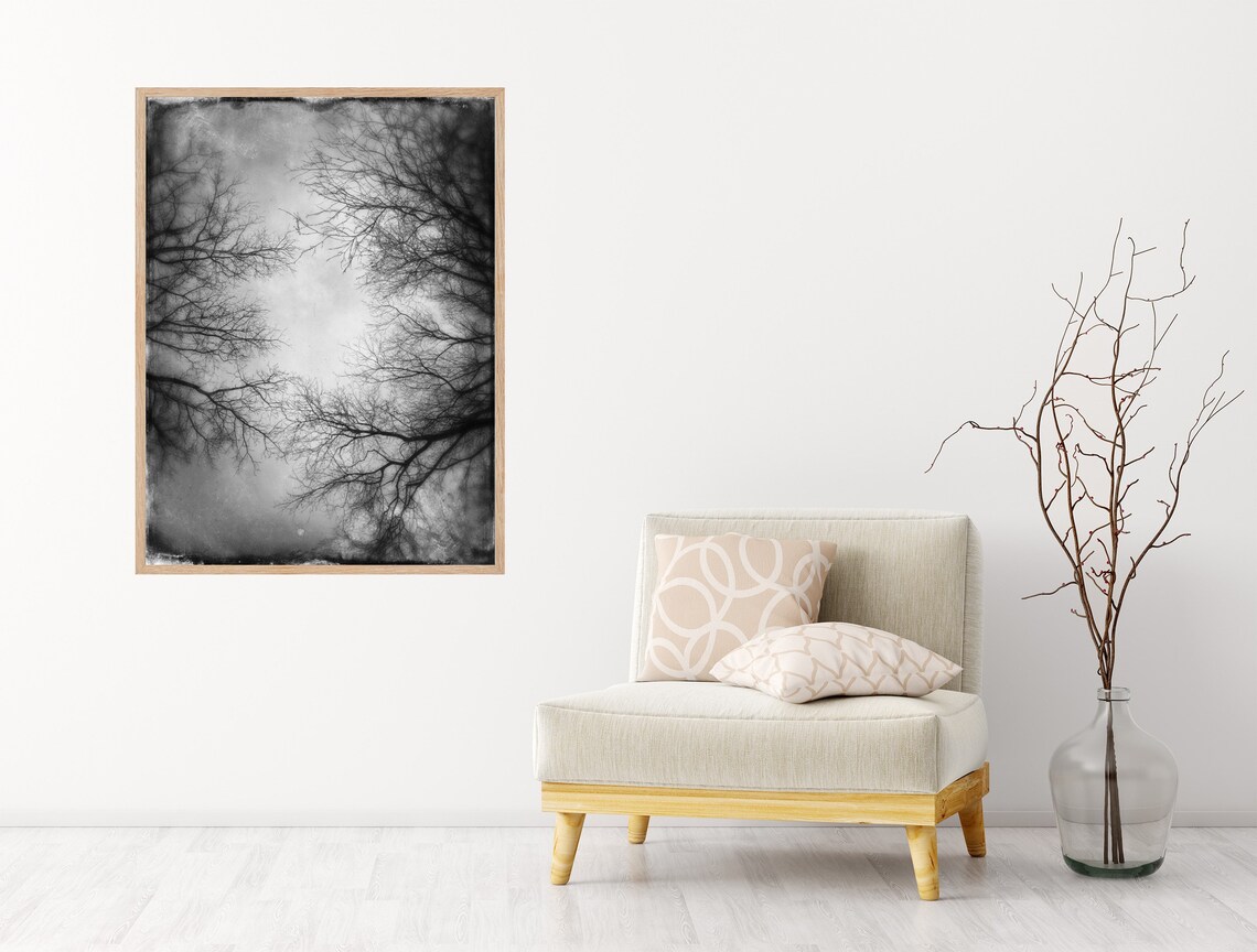 Intertwined PRINT Bare Tree Branch Photo Black and White - Etsy