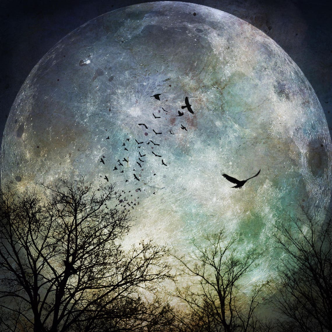 Moon Birds PRINT Full Super Moon Photo Surreal Landscape - Etsy Canada