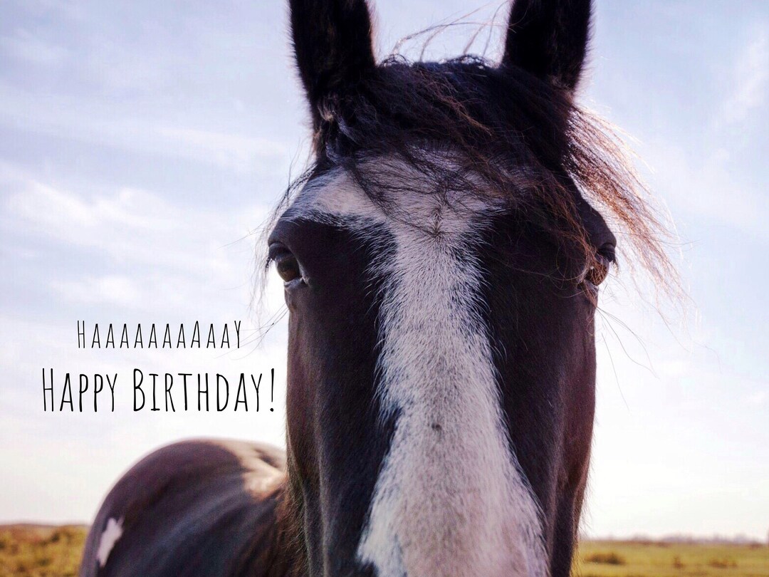 Hay Happy Birthday Photo Greeting Card, 4x5 Inspirational Cards Blank ...